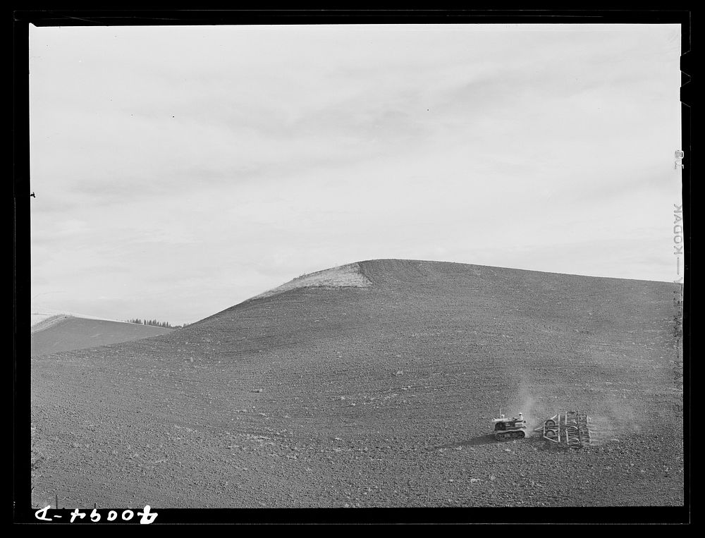 Harrowing summer fallow (wheat land). | Free Photo - rawpixel