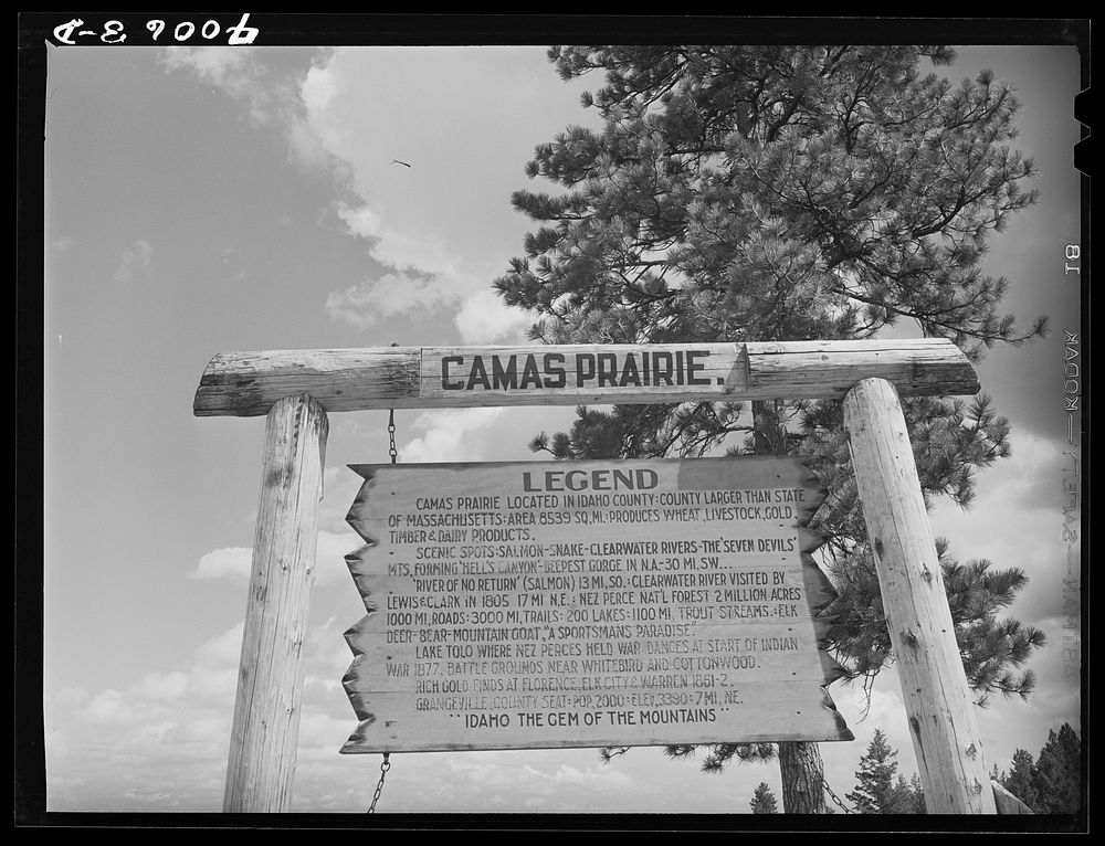 Sign viewpoint overlooking Camas Prairie, | Free Photo - rawpixel