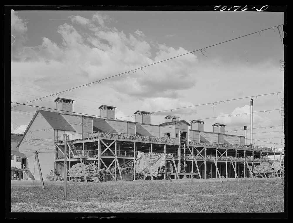 Kiln Chief Hop Ranch, Yakima | Free Photo - rawpixel