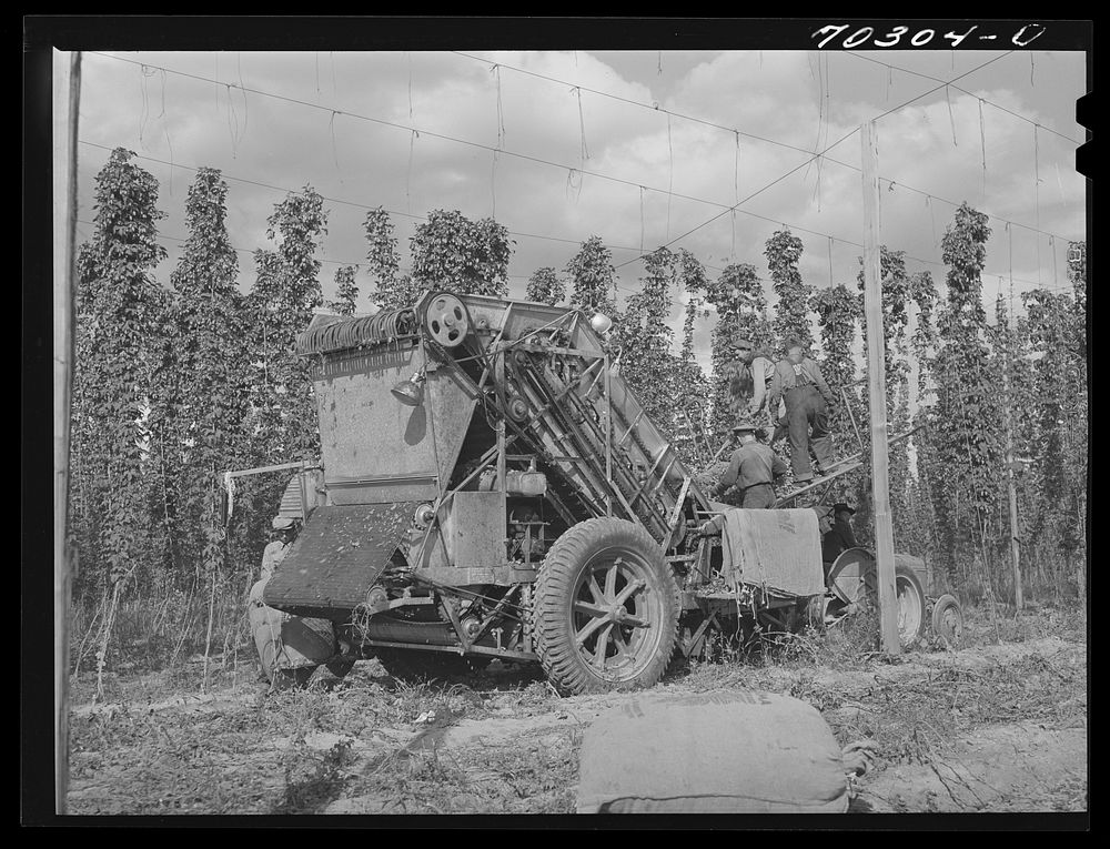 Portable-type mechnical hop picker. Yakima | Free Photo - rawpixel