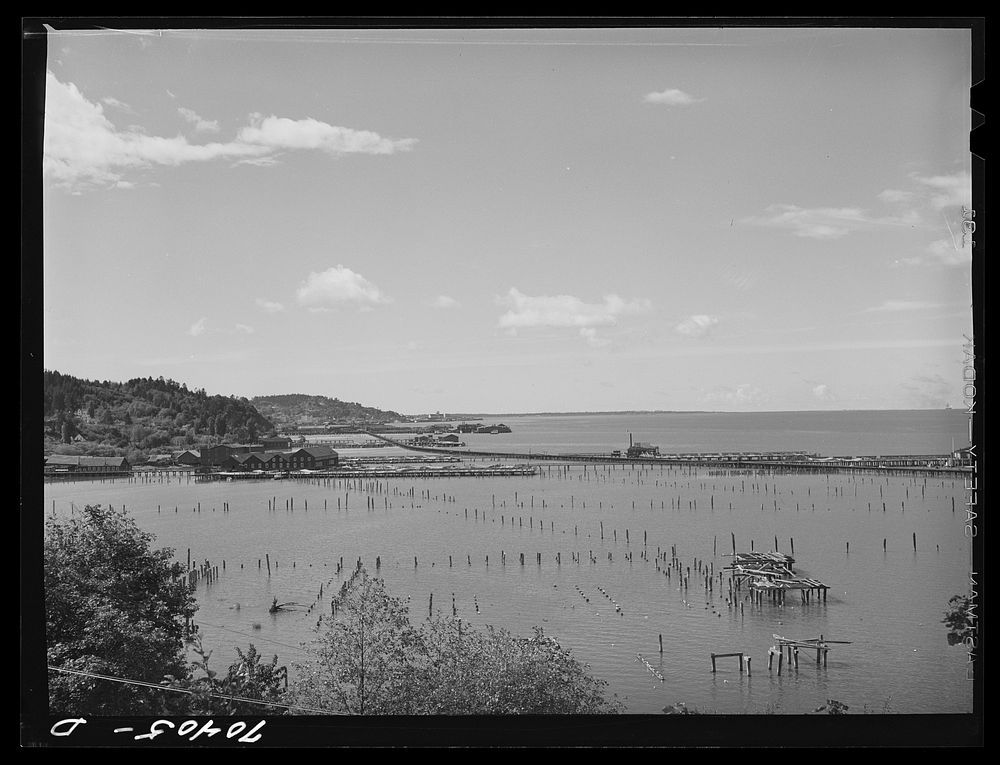 Waterfront. Astoria, Oregon Russell Lee | Free Photo - rawpixel