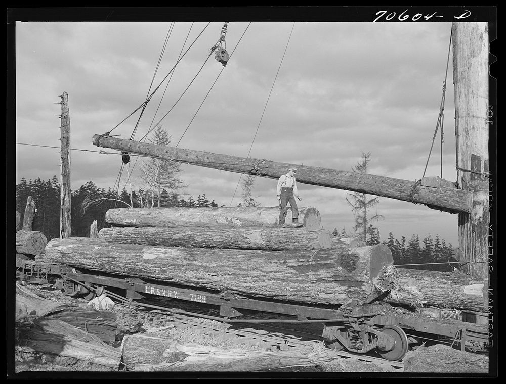 Long Bell Lumber Company, Cowlitz | Free Photo - rawpixel