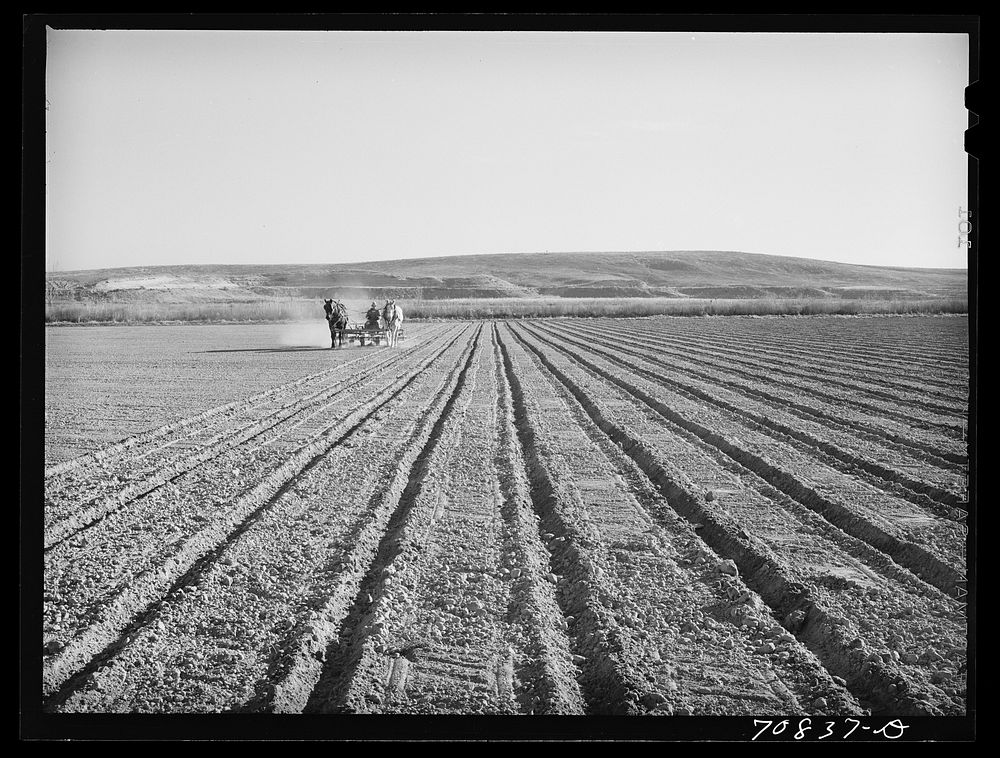 Farmer discing his land. Black | Free Photo - rawpixel