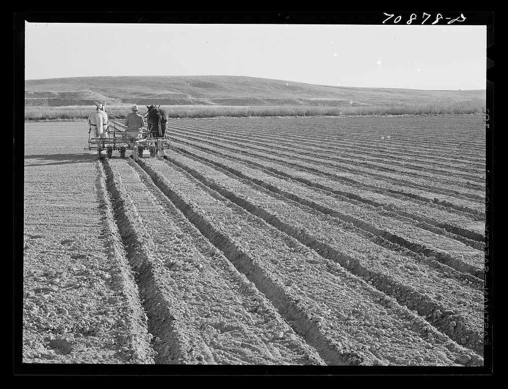 Farmer discing his land. Black | Free Photo - rawpixel