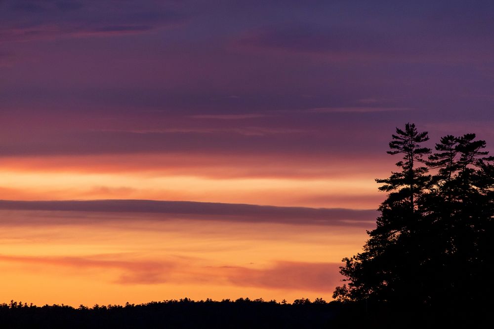 Sunset Clouds Trees | Free Photo - rawpixel
