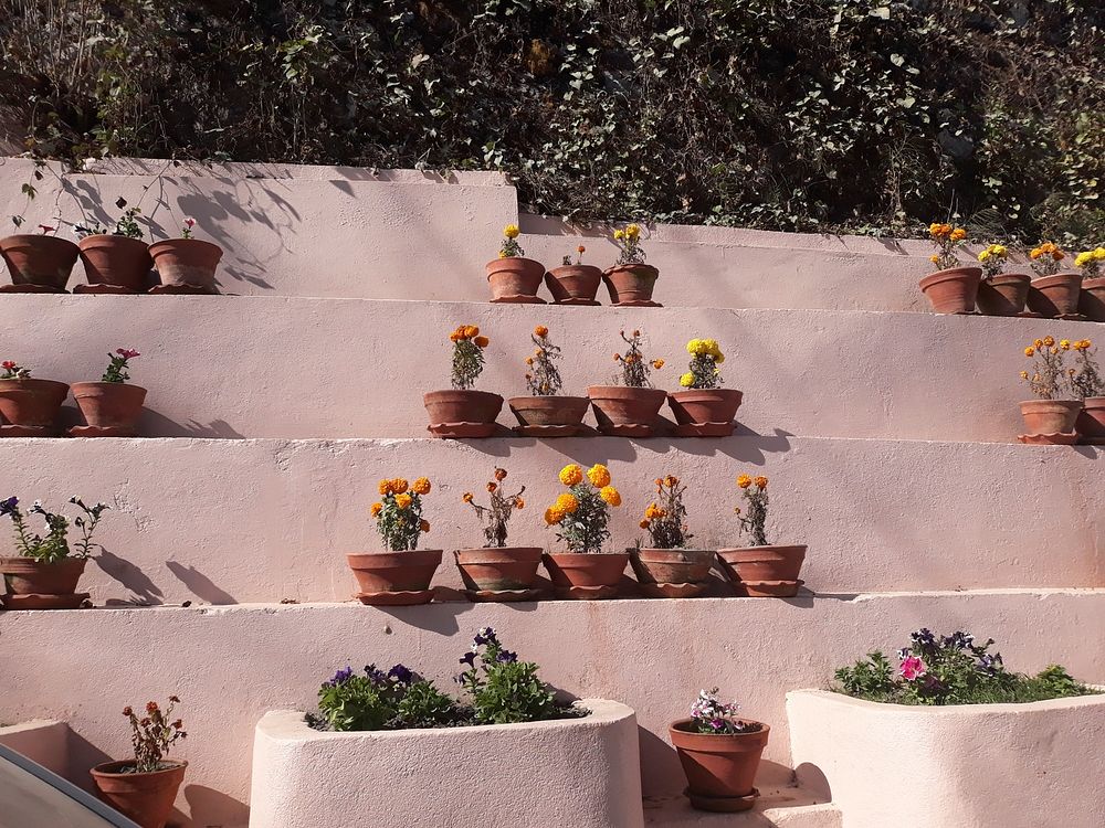 Flower management | Free Photo - rawpixel