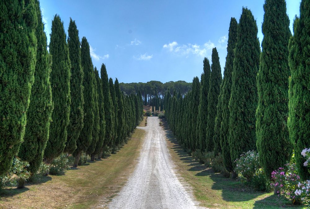 Tuscan driveway | Free Photo - rawpixel