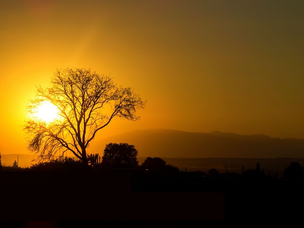 Free public domain CC0 photo. | Free Photo - rawpixel