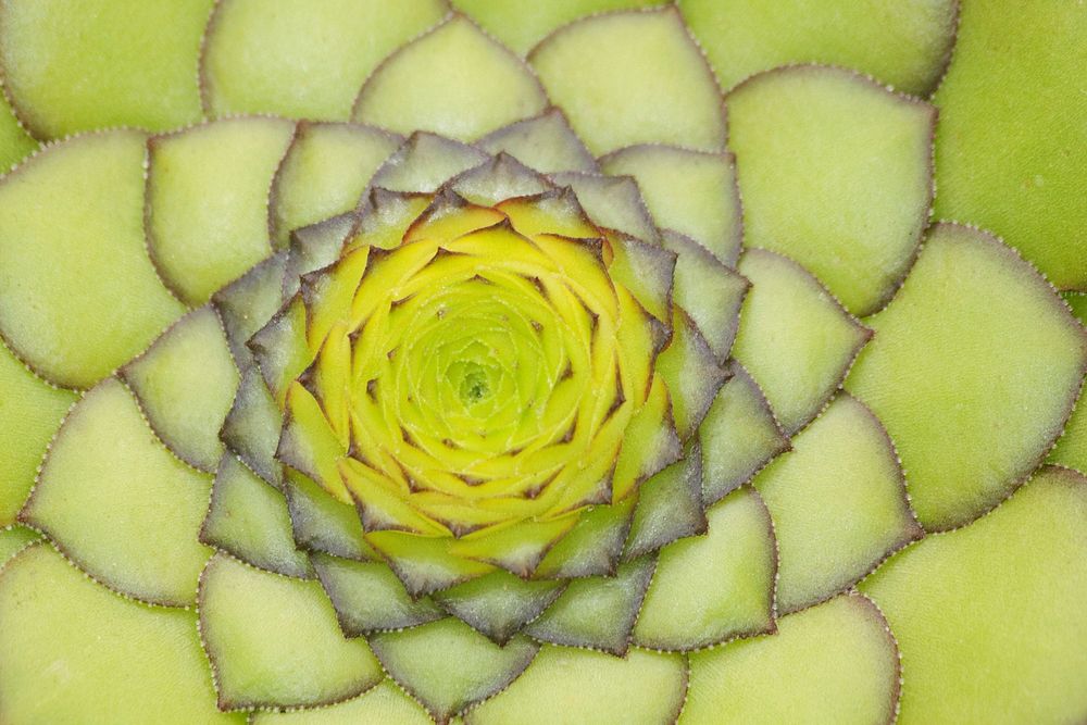 Free public domain CC0 photo. | Free Photo - rawpixel