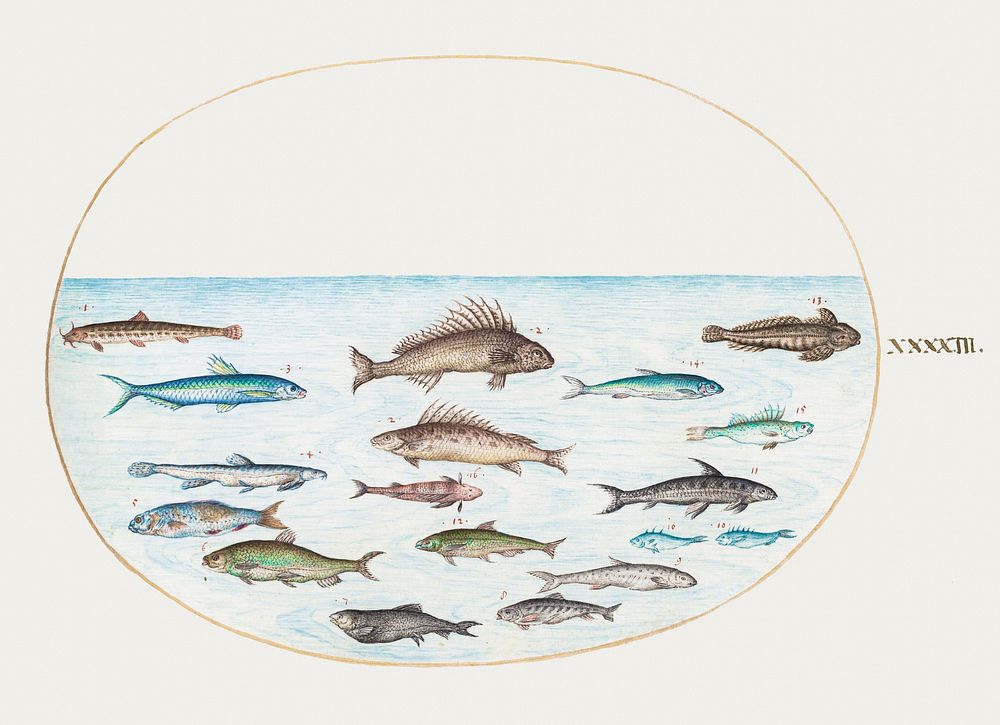 Fifteen Fish (1575–1580) painting high | Free Photo Illustration - rawpixel