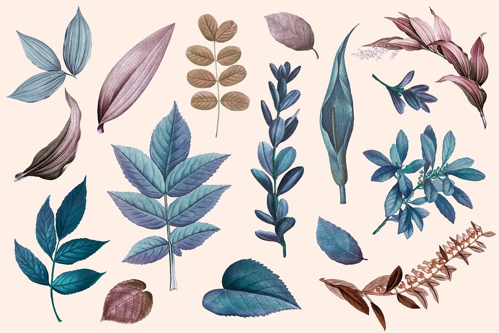 Vintage colorful leaves collection vector | Premium Vector - rawpixel