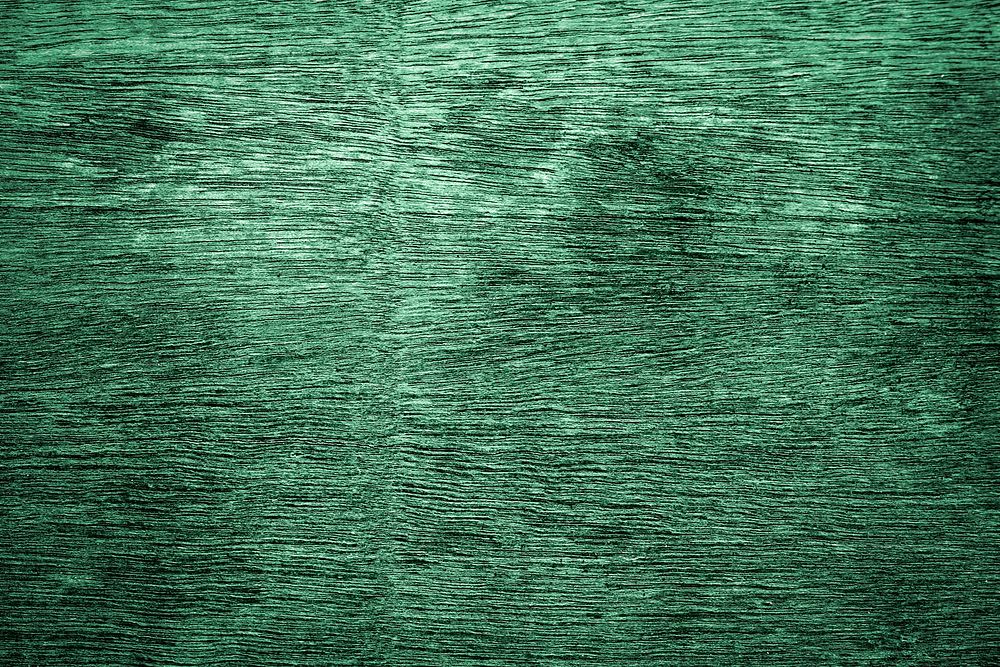 Forest green texture wallpaper background | Free Photo - rawpixel