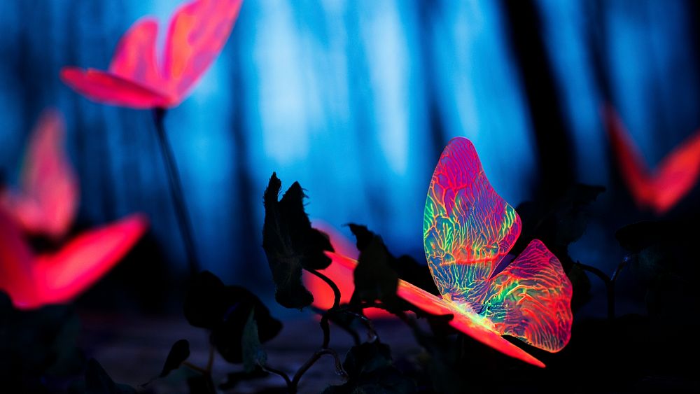 Glowing butterfly desktop wallpaper background, | Premium Photo - rawpixel