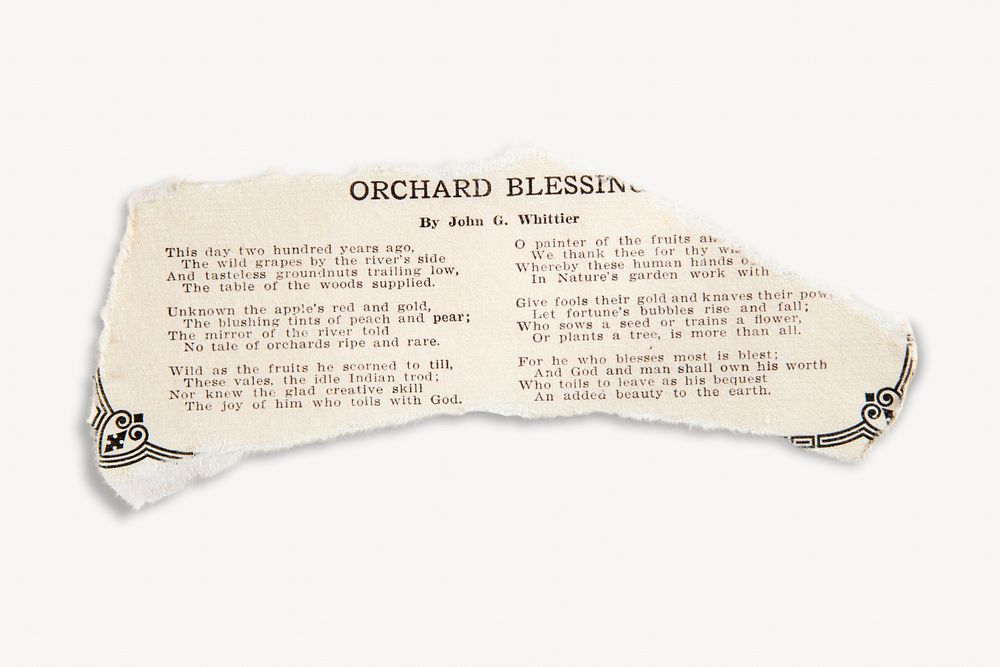 Old ripped book vintage ephemera | Free Photo - rawpixel