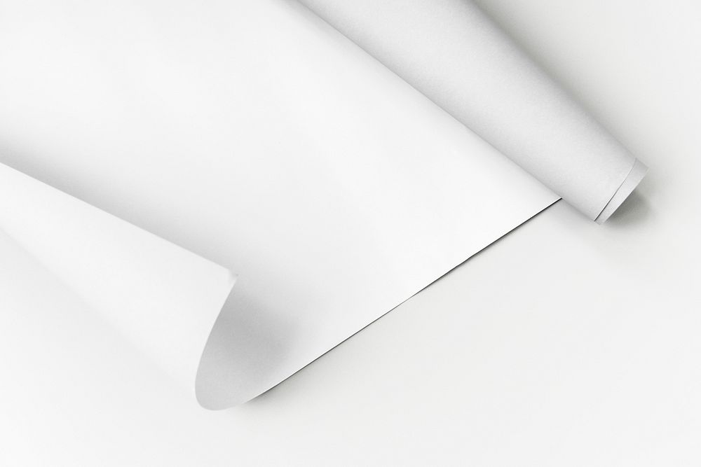 Blank white rolled chart paper | Premium Photo - rawpixel