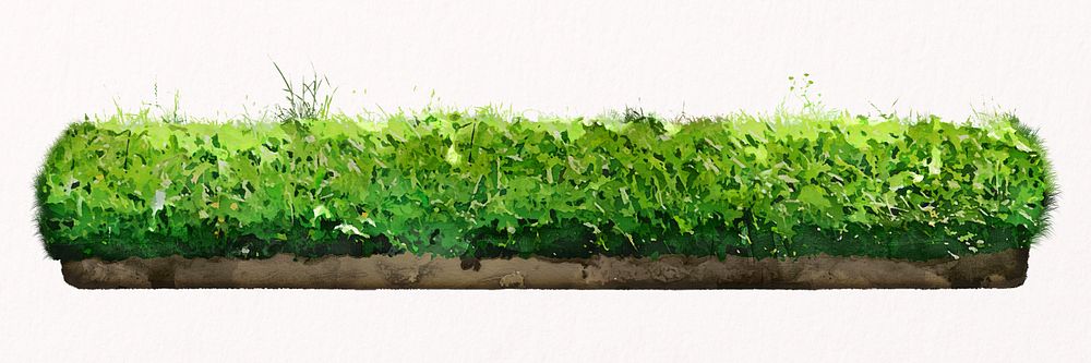 Bush border, nature collage element | Premium PSD - rawpixel