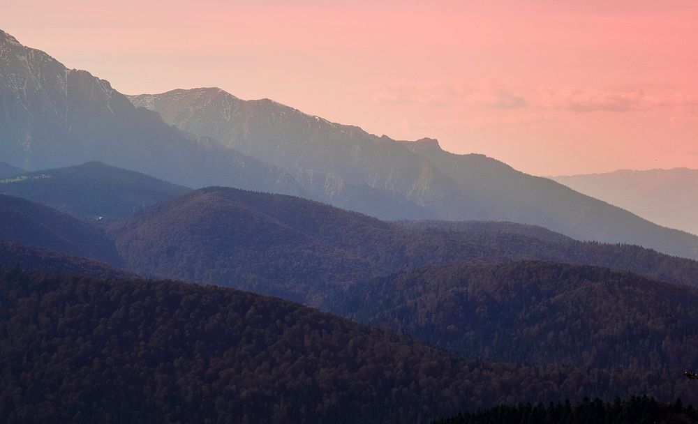 Free public domain CC0 photo. | Free Photo - rawpixel