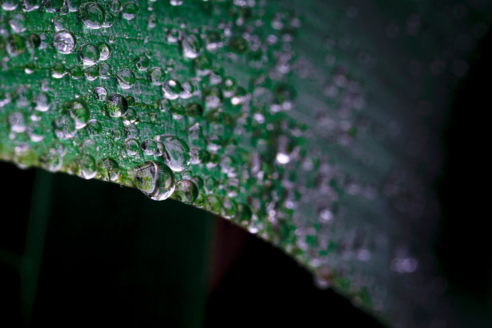 Free public domain CC0 photo. | Free Photo - rawpixel