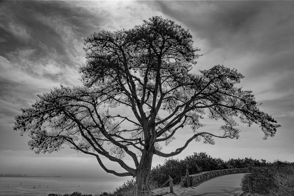 Free public domain CC0 photo. | Free Photo - rawpixel