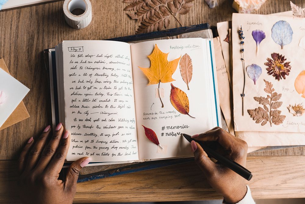 Traveler's journal wallpaper autumn season, | Premium Photo - rawpixel