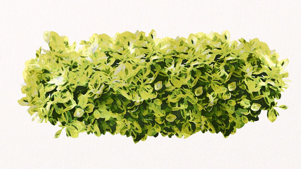 Bush collage element, nature design | Premium PSD - rawpixel