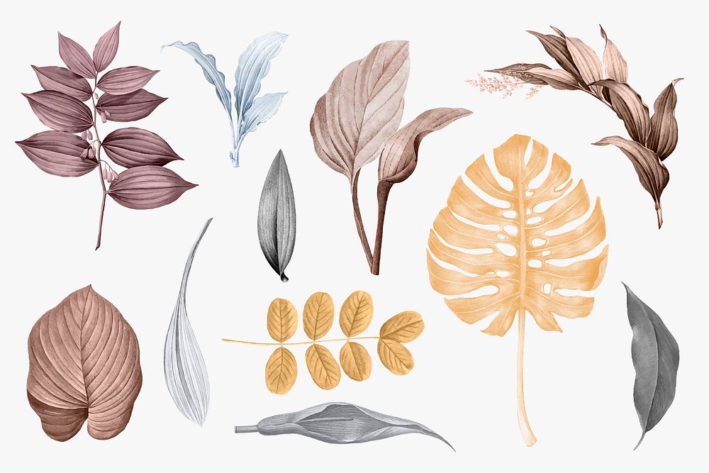 Tropical leaves collection vector set | Premium Vector - rawpixel