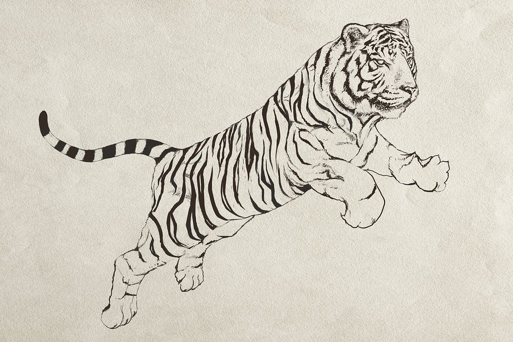 Hand drawn jumping tiger illustration | Premium PSD - rawpixel