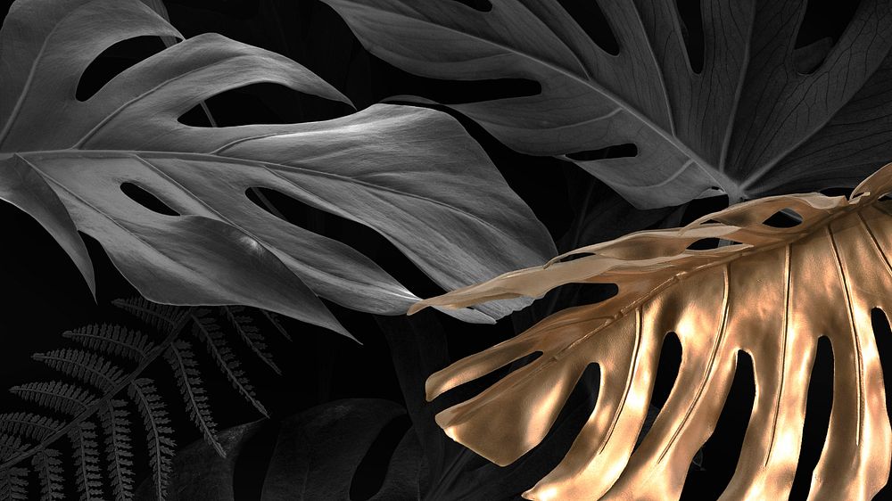 Gold and black Monstera Deliciosa | Premium Photo - rawpixel