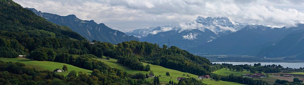 Original public domain image Wikimedia | Free Photo - rawpixel