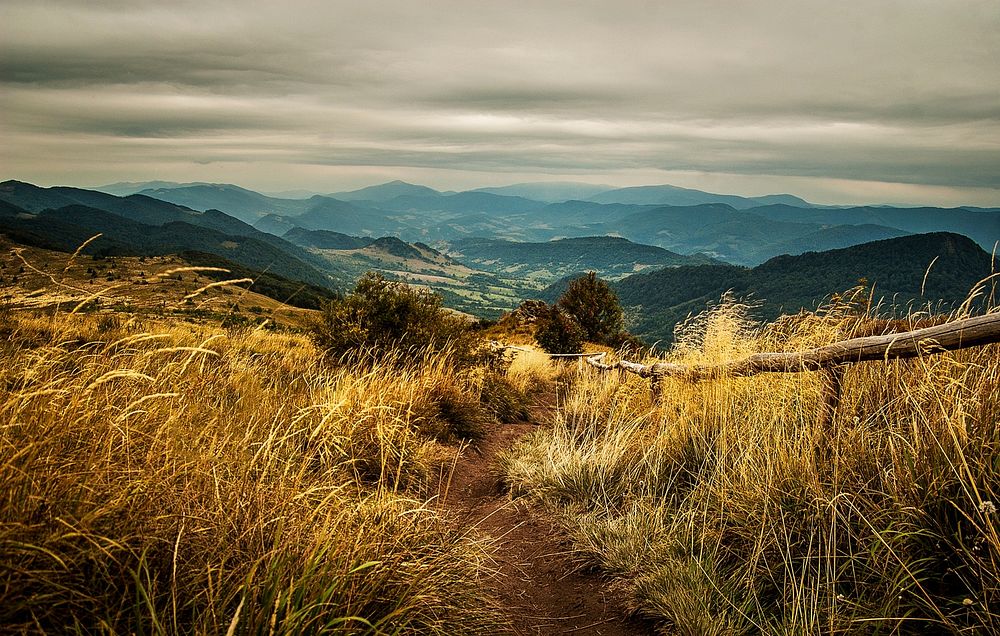 Original public domain image Wikimedia | Free Photo - rawpixel