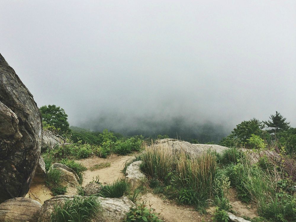 grassy ledge overlooking mist-shrouded chasm | Free Photo - rawpixel