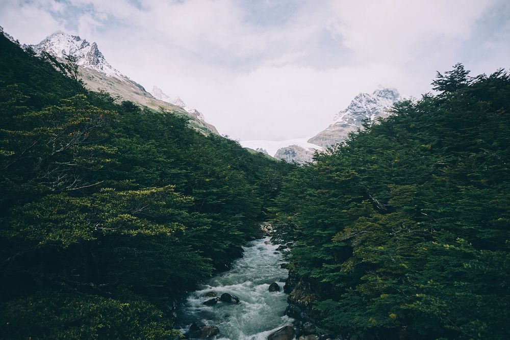 frothy tree-lined stream mountains Torres | Free Photo - rawpixel