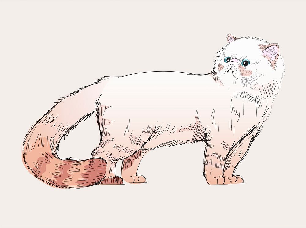Illustration drawing style of cat | Premium Vector Illustration - rawpixel