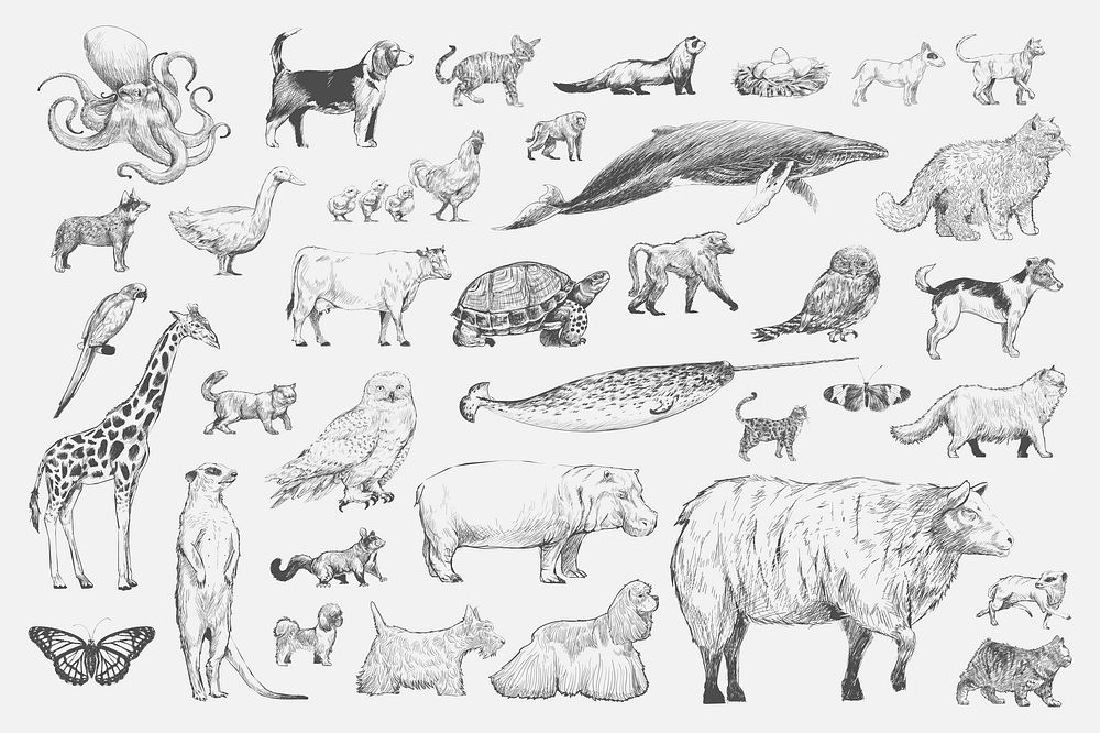 Illustration drawing style animal collection | Premium Vector - rawpixel