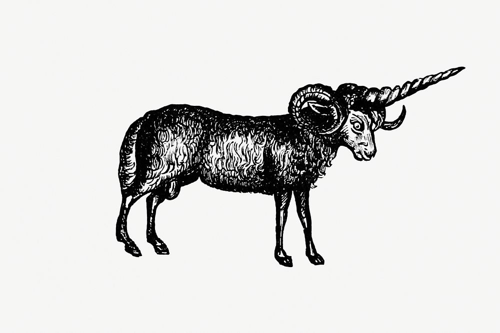 Vintage Victorian style goat engraving. | Free Photo Illustration ...