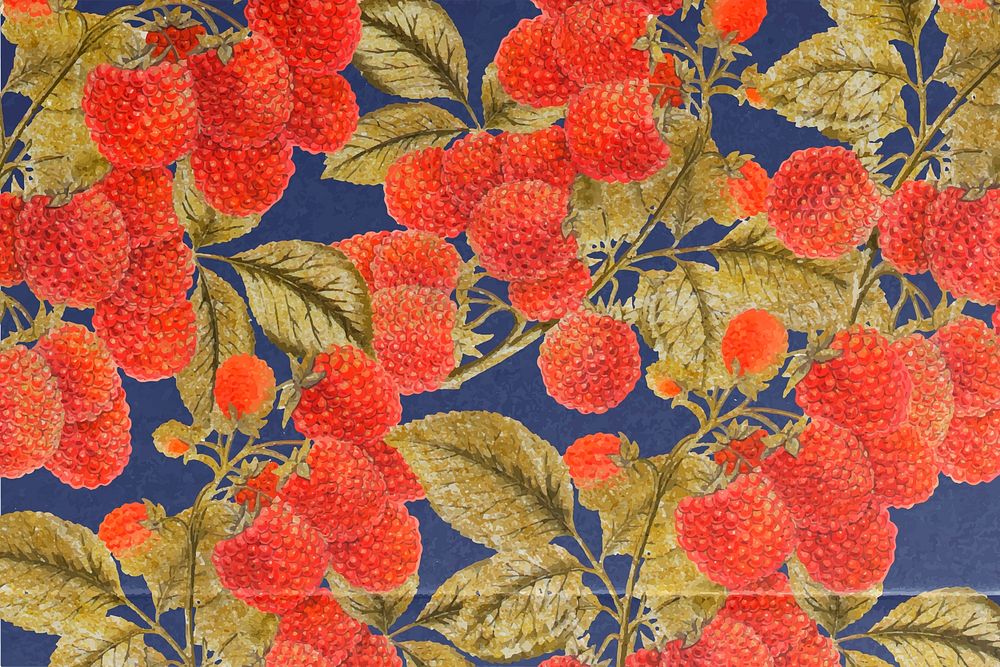 Vintage red berry background, aesthetic | Premium Vector Illustration ...