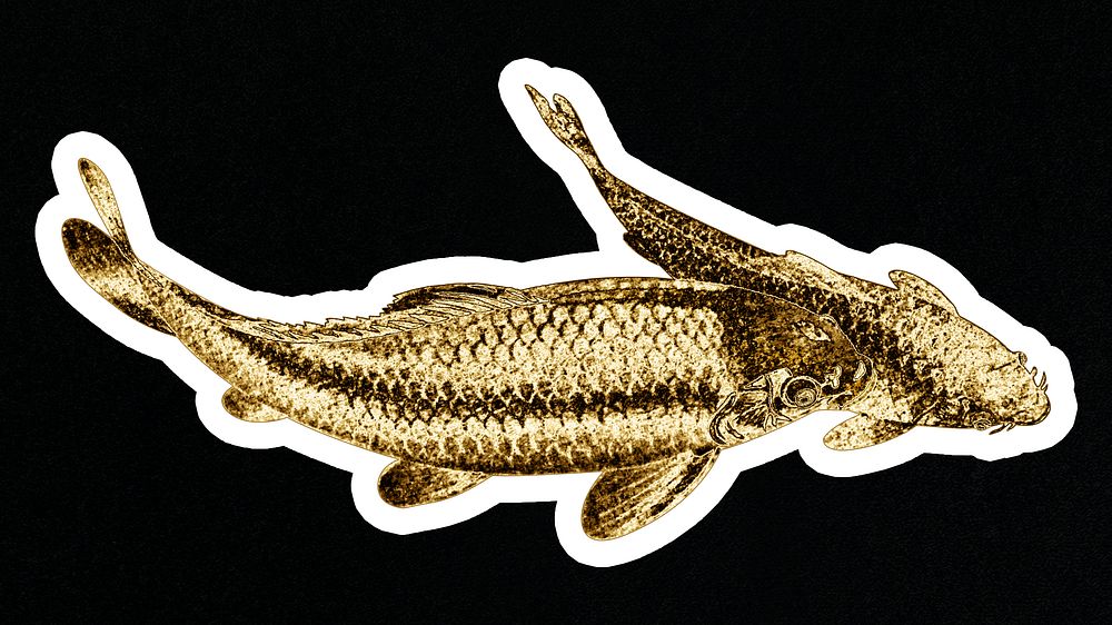 Gold carp fish sticker design | Premium PSD - rawpixel