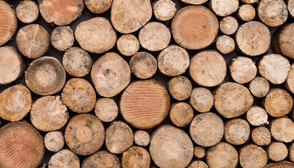 Wood log pattern texture | Free Photo - rawpixel