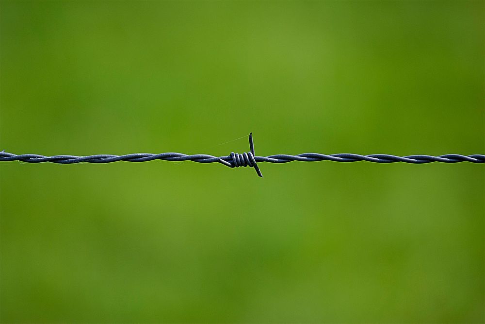 Free barbed wire public domain | Free Photo - rawpixel