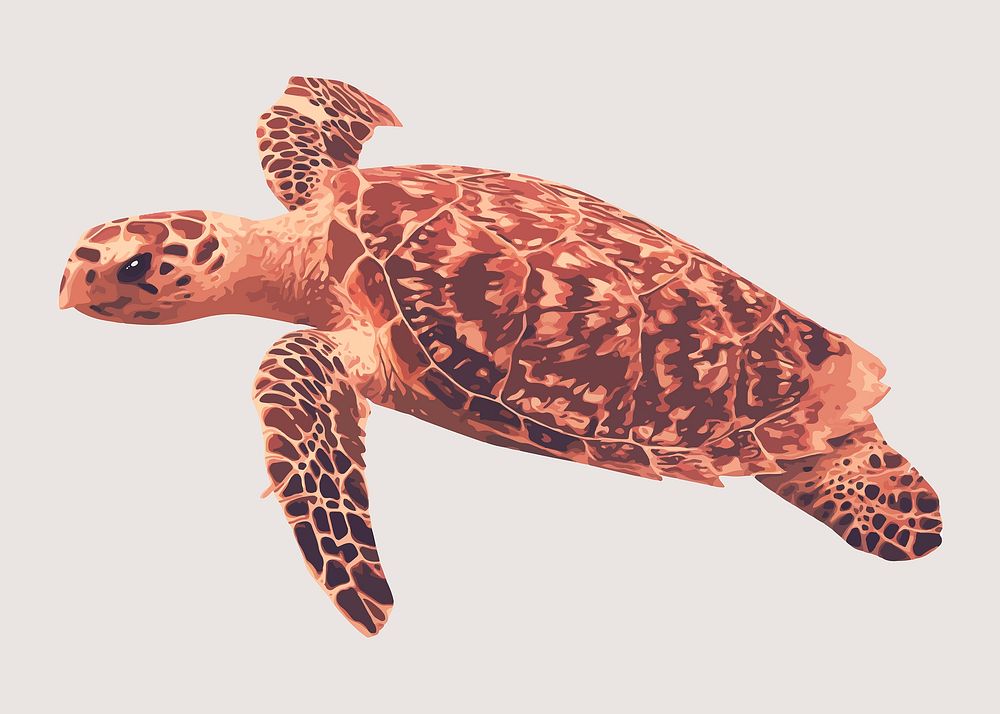 Sea turtle, aesthetic vector illustration | Premium Vector Illustration ...