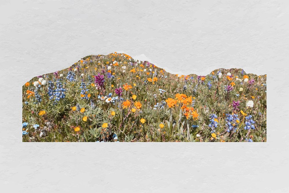 Flower field clipart, nature | Premium Vector - rawpixel