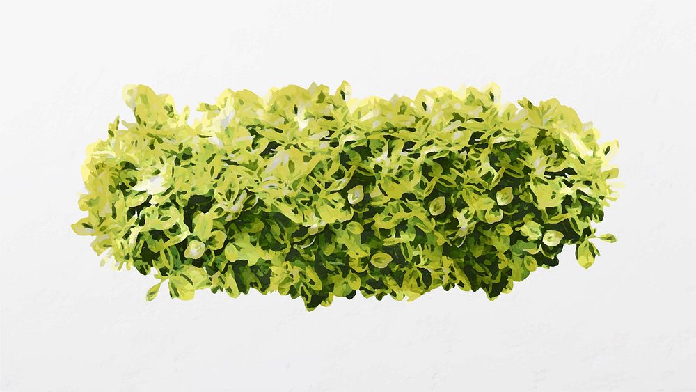 Bush collage element, garden design | Premium Vector - rawpixel