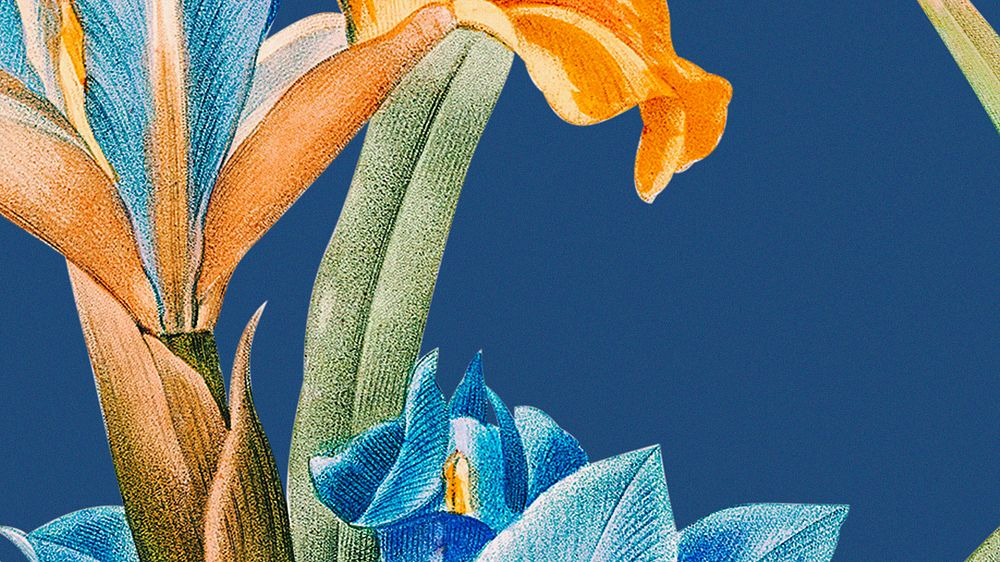 Colorful floral HD wallpaper with spanish | Free Photo - rawpixel