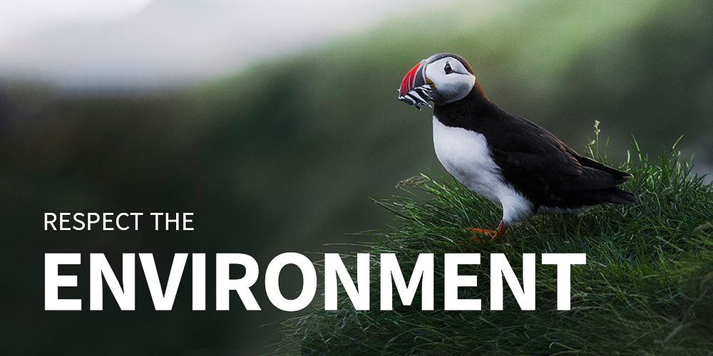 Respect environment template psd puffin | Premium PSD Template - rawpixel