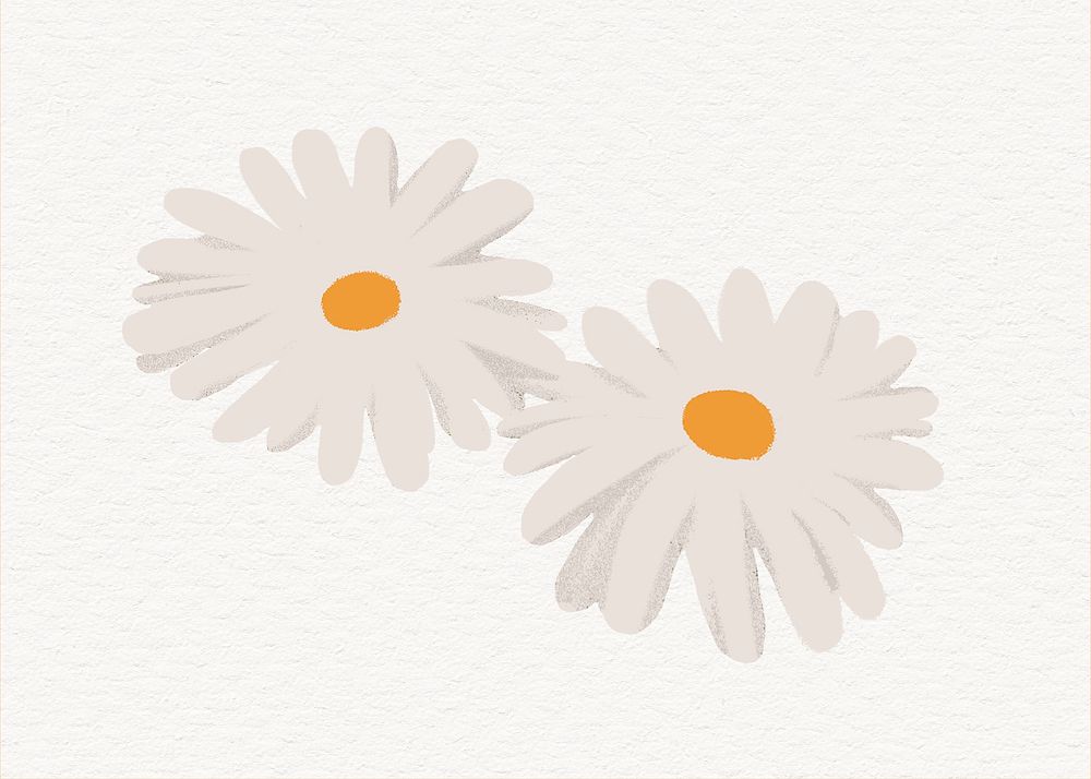 Nature illustration, minimal Daisy flower | Free Photo Illustration ...