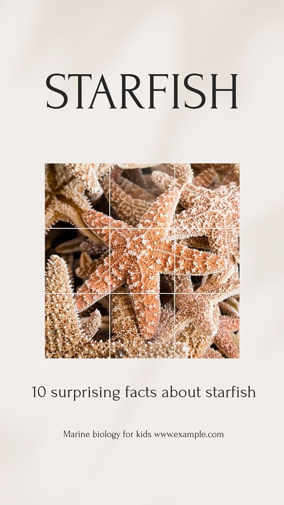 Starfish social story template, editable | Premium Editable Template ...