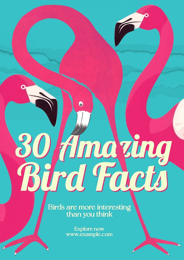 Bird facts poster template | Premium Editable Template - rawpixel