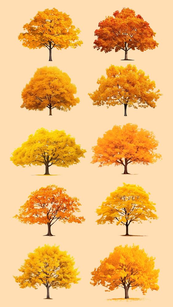 Editable Autumn tree set | Premium Editable Design - rawpixel