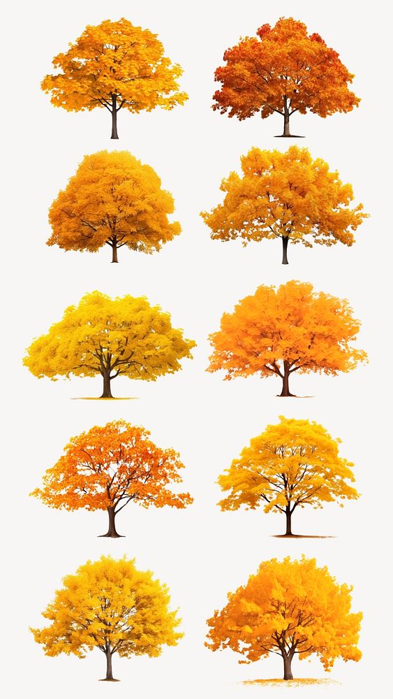 Editable Autumn tree set | Premium Editable Design - rawpixel