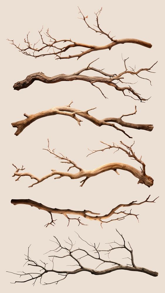 Tree branch element, editable design | Premium Editable Design - rawpixel